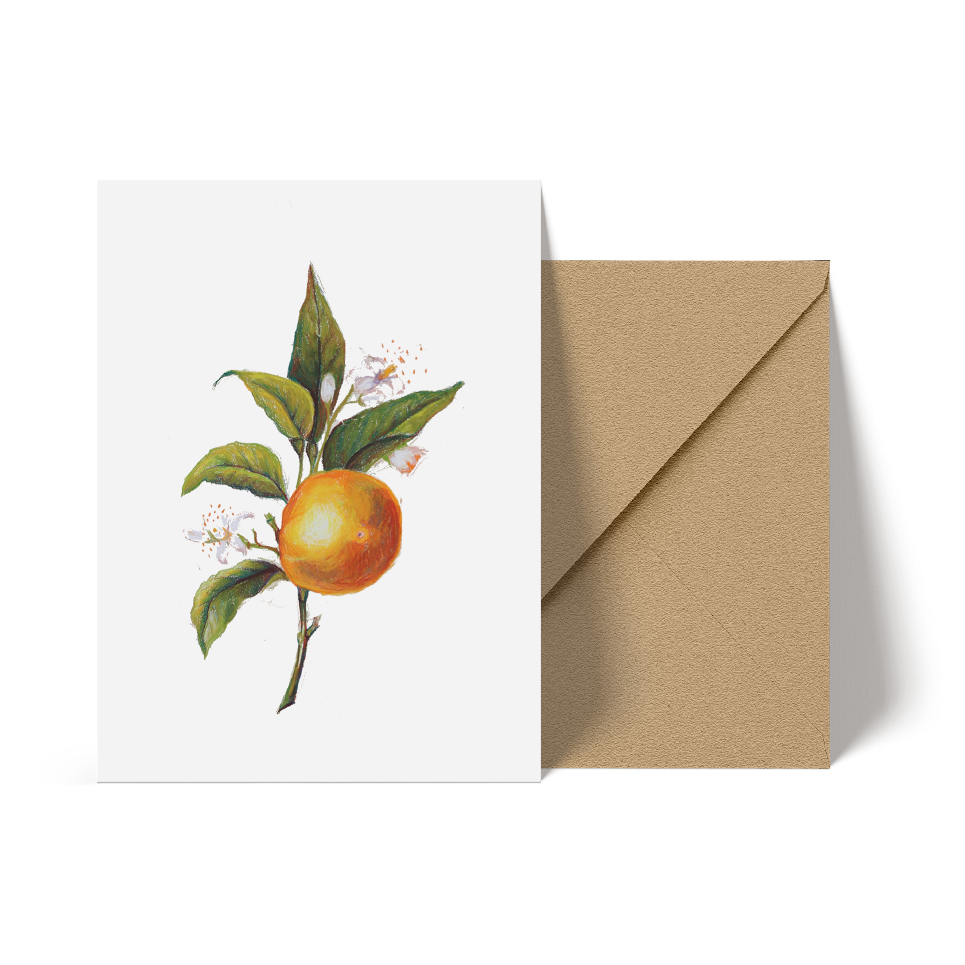 Florida Orange Note Card – Jenna Alexander